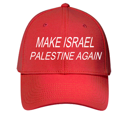 MAKE ISRAEL PALESTINE AGAIN PALESTINE AGAIN Dad Hat | 100% Cotton | Low ...